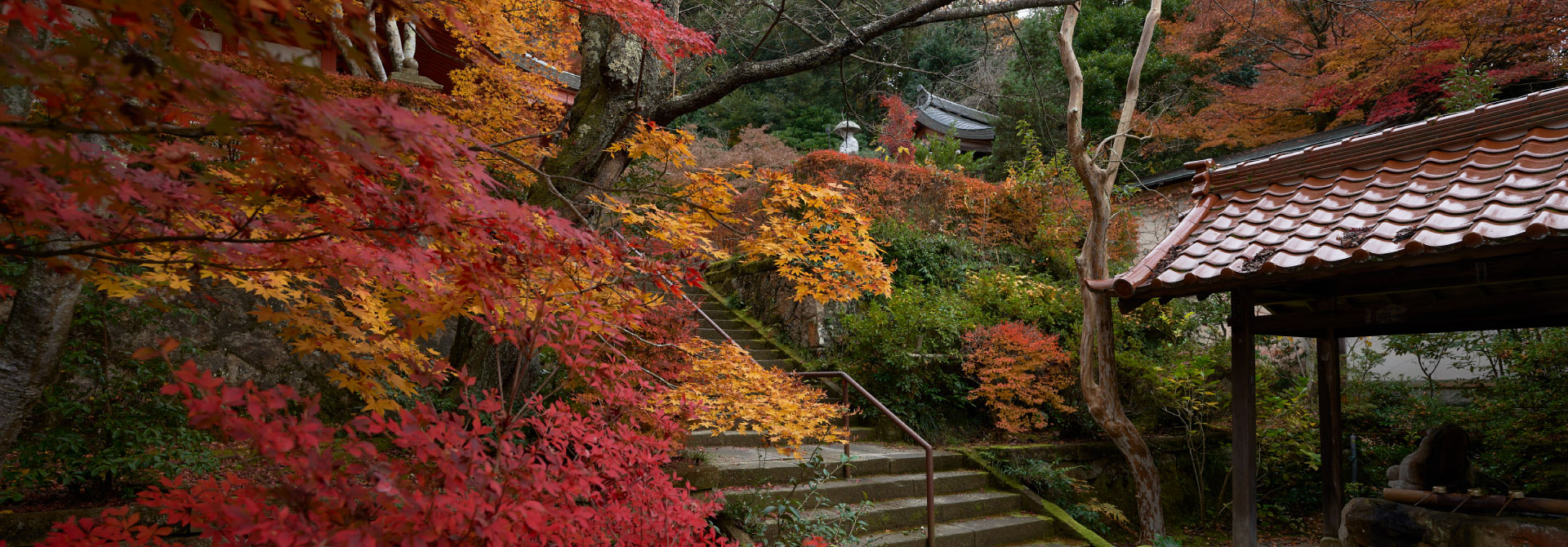 Visit Kaga | Official Website of Kaga City Tourism Association